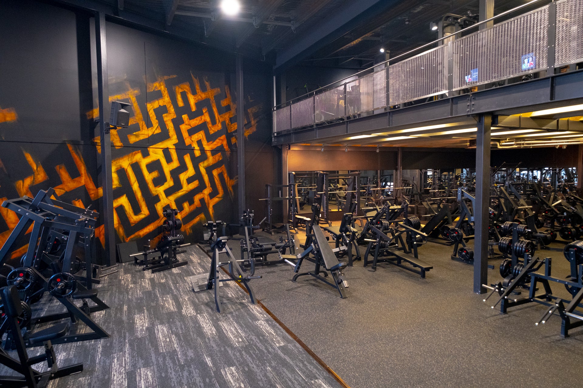 New Zealand's Best Pre-Workout, Fat Burner and Hormonal Supplements ...